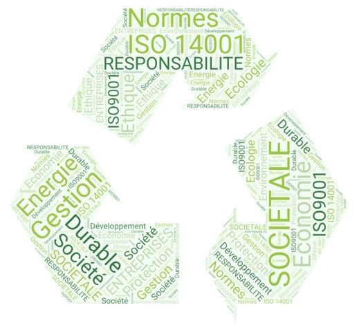 La Responsabilité Sociétale des Entreprises (RSE)